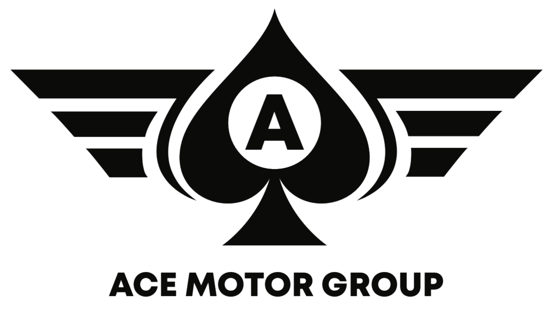 The Essential Tiny House Electrical Guide - ACE MOTOR GROUP INC